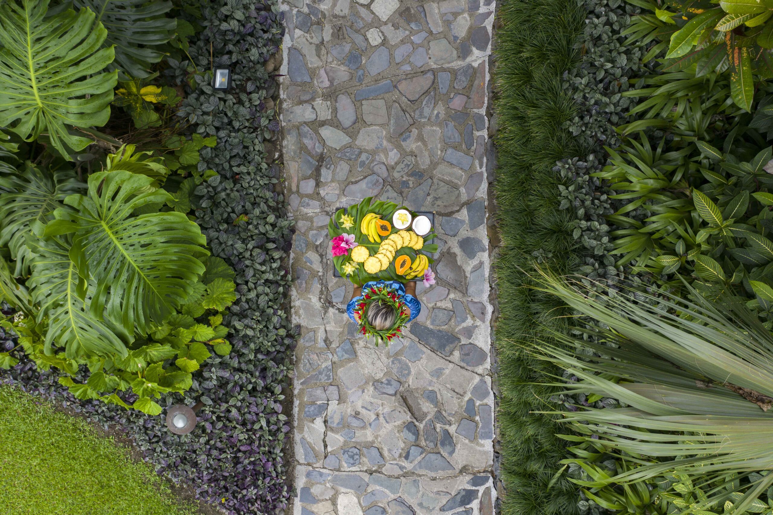 Flora & Fauna of the Cook Islands